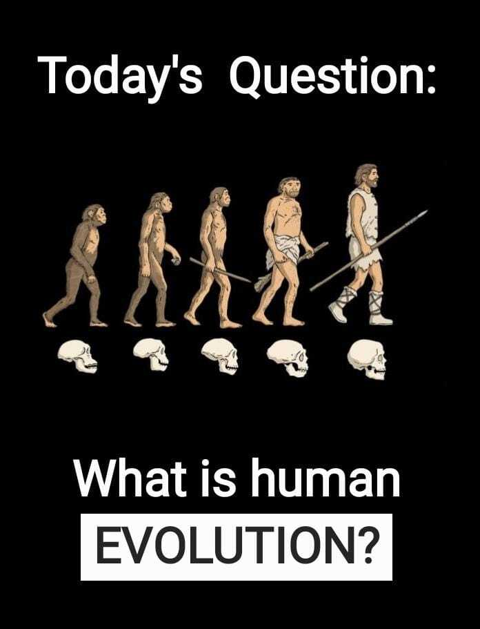 Theory of Evolution